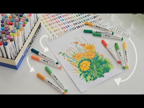 Colour With Me For Beginners ft. Arrtx 90-color Acrylic Markers