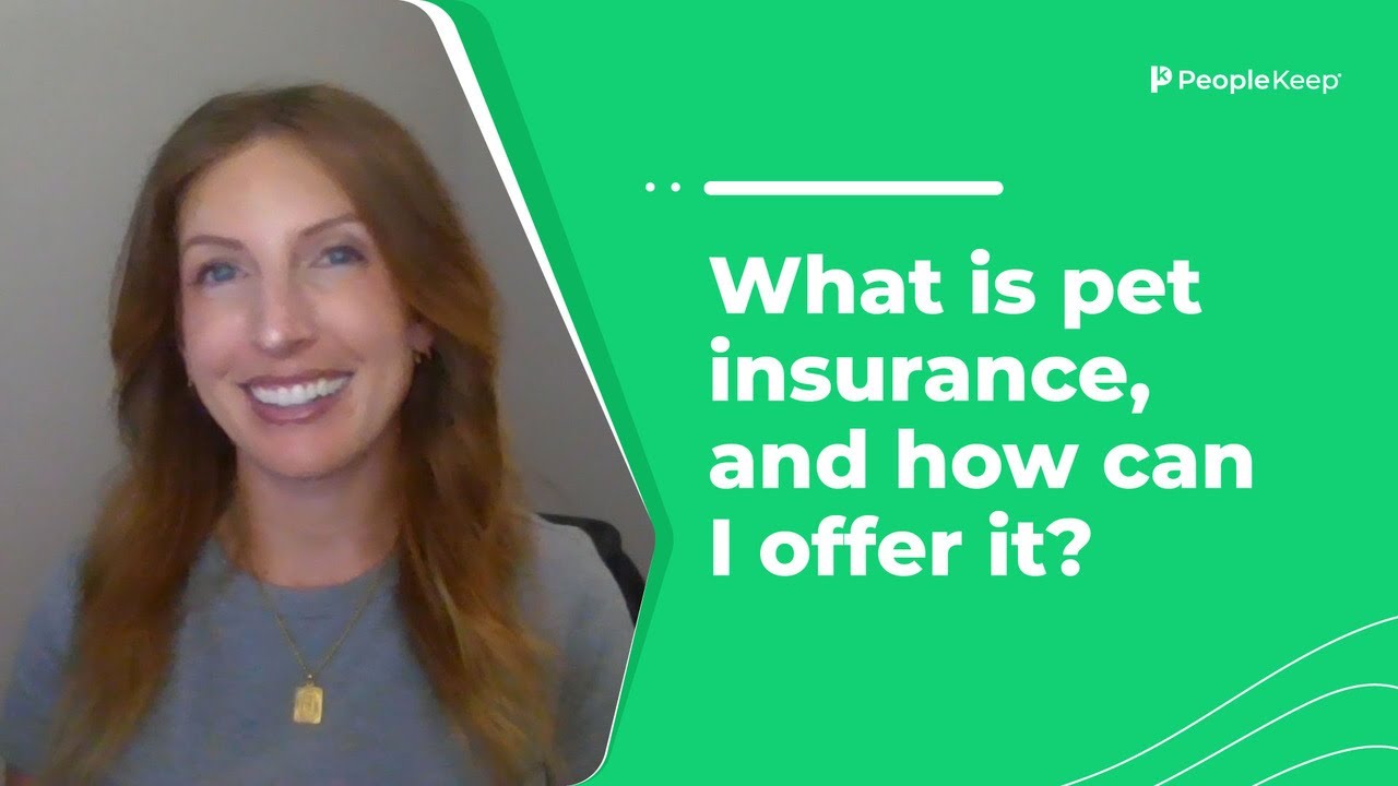 What is pet insurance, and how can I offer it?