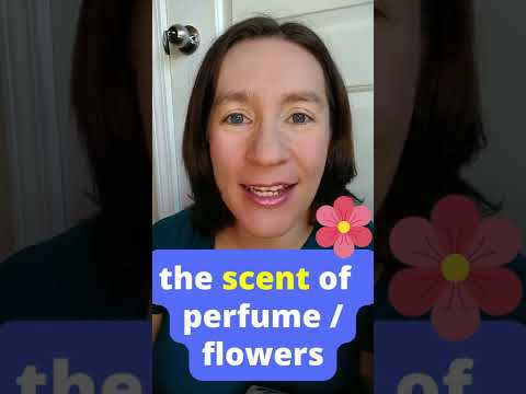Smell, scent, stench