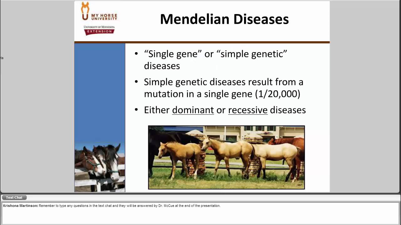 Equine Genetics 101