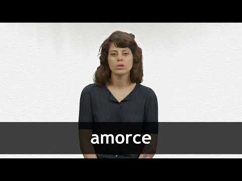 English Translation of “AMORCE” | Collins French-English Dictionary