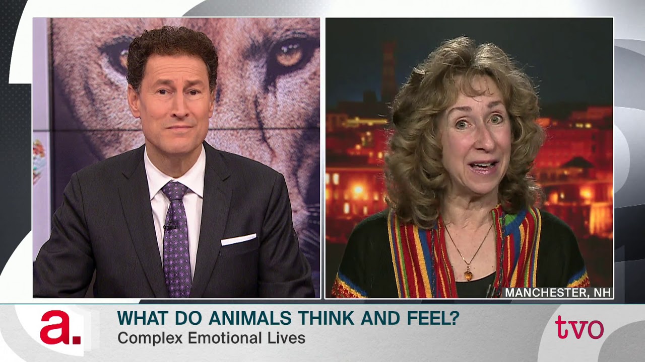 The Agenda's Week in Review