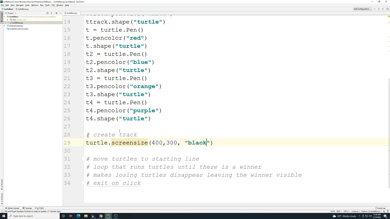 Python Practice: Turtle Race