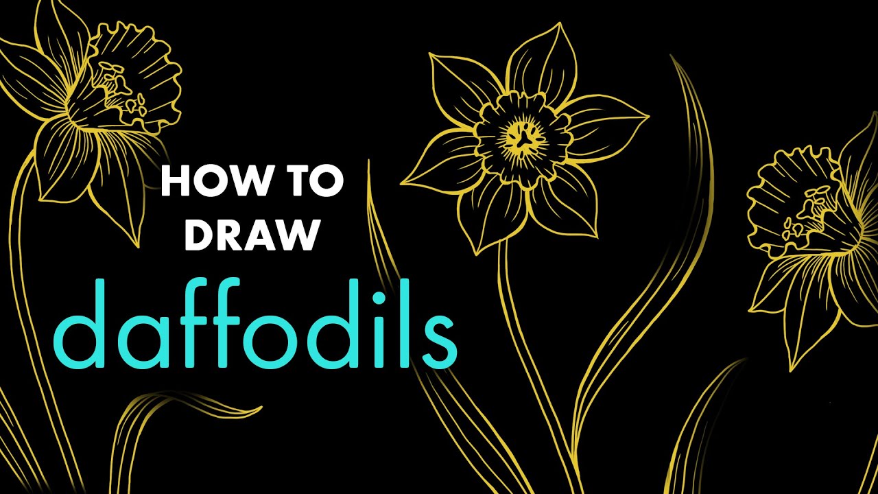 How to Draw Daffodils Using Just a Pen and Pencil!