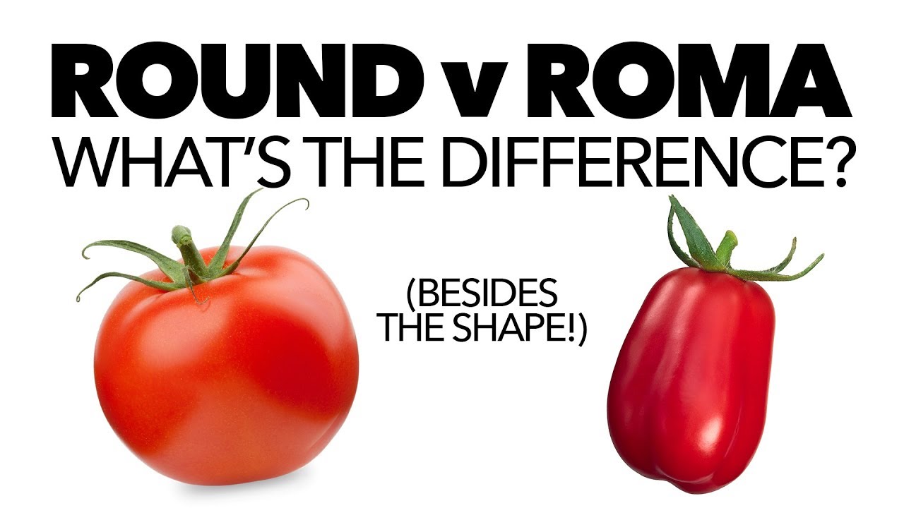 Tomatoes: Round vs Roma — What's the Difference?