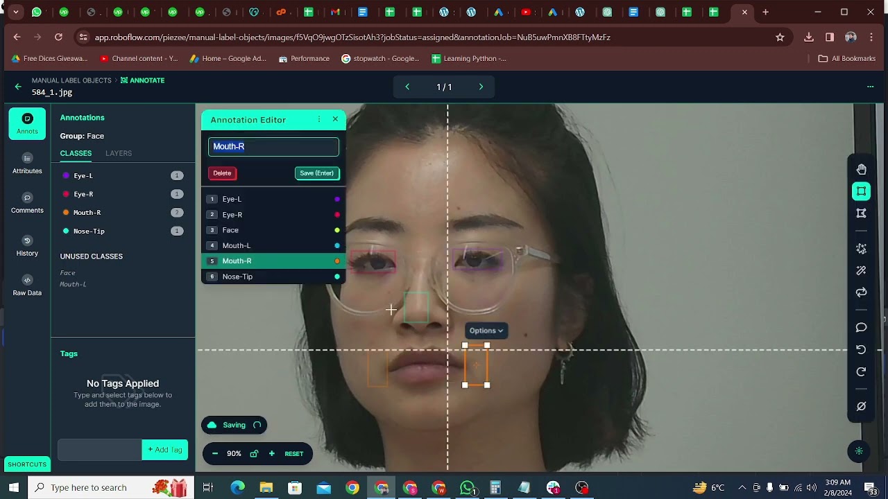 Professional Image Data Labeling for Machine Learning | Portfolio Showcase
