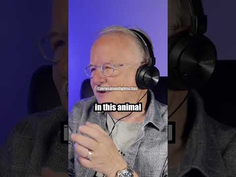 THE SECRET OF THE HEBREW NAME FOR DOG