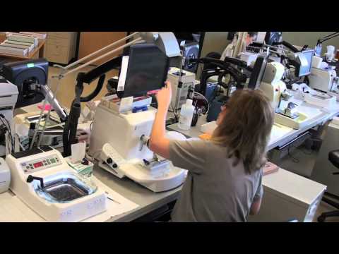 Health Care & Applied Sciences