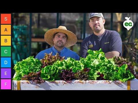 We Grew 18+ Types of Lettuce and Ranked Them