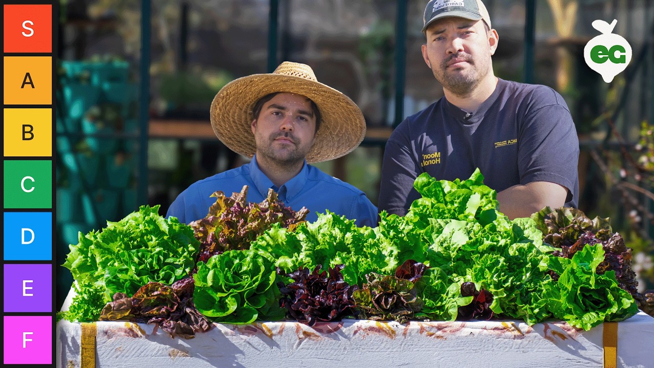 We Grew 18+ Types of Lettuce and Ranked Them