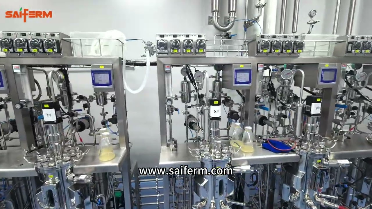 Saiferm 5L-5 parallel stainless steel seed bioreactor #bioreactor #fermenter