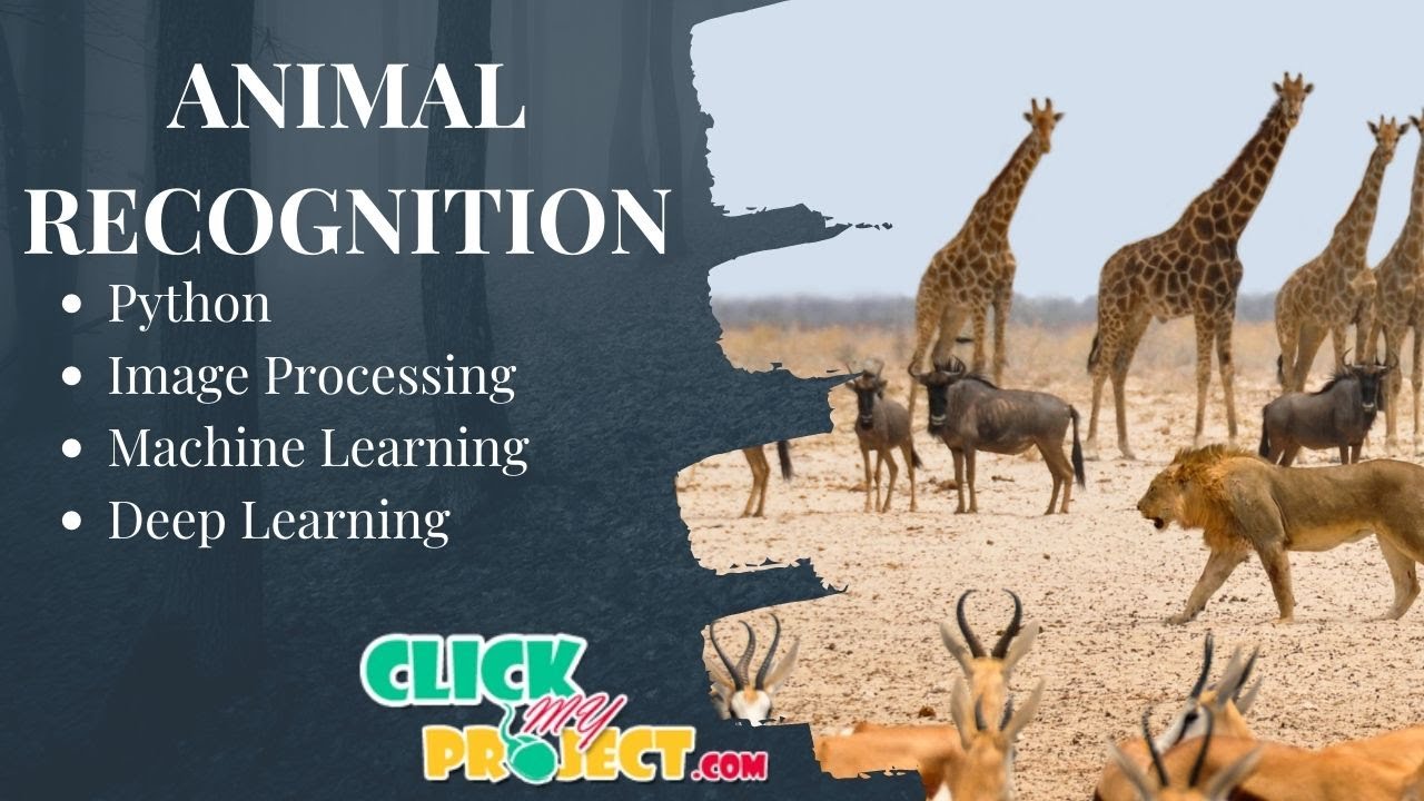 Python Image Processing - Animal Recognition - ClickMyProject