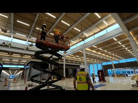 Kansas City International Airport New Terminal Artwork Installation  - Ornithology by Willie Cole