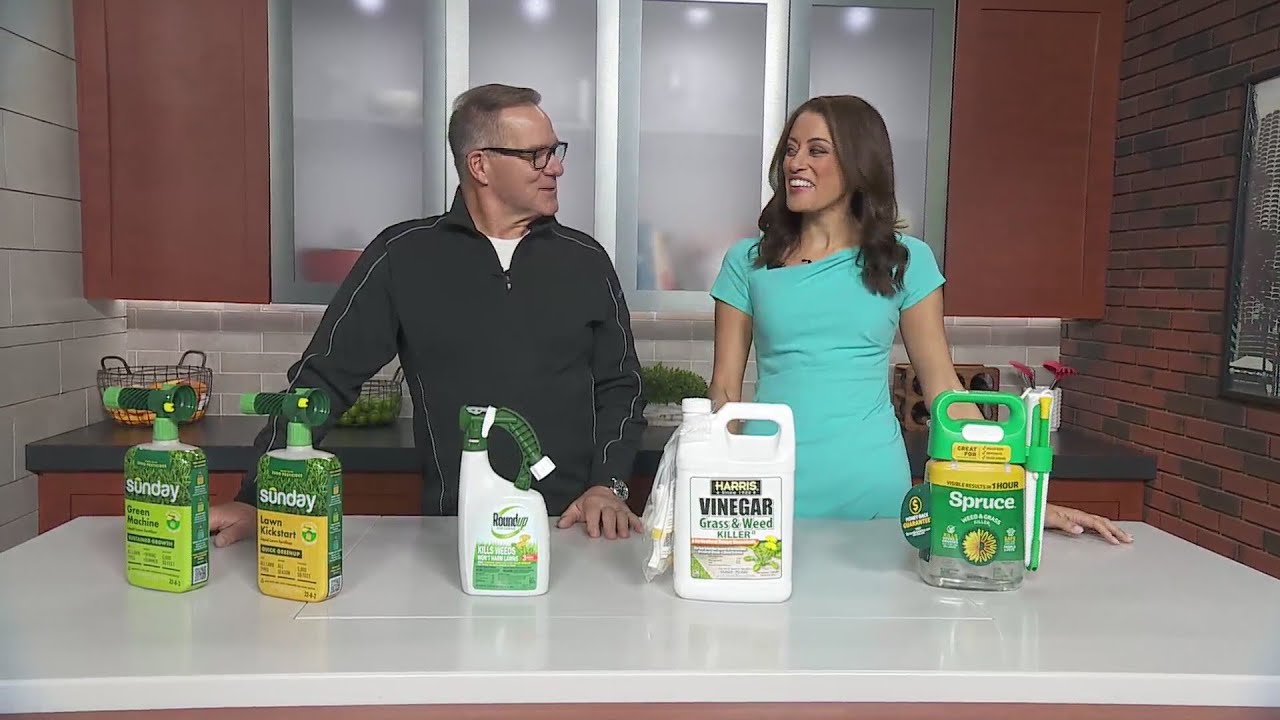 Mr. Fix It's spring lawncare tips