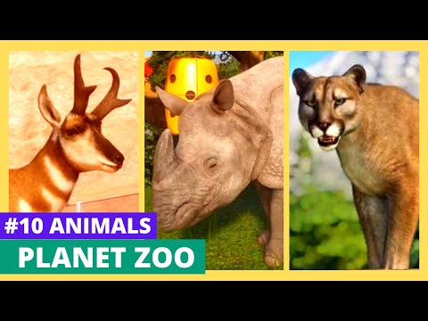 Super Planet Zoo! #10 Names And Sounds Wild Animals 35