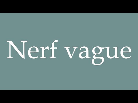 How to Pronounce ''Nerf vague'' (Vagus nerve) Correctly in French