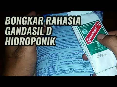 BONGKAR RAHASIA GANDASIL D UNTUK HIDROPONIK