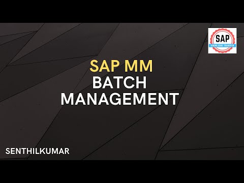 Training session 19 - SAP MM Batch Management