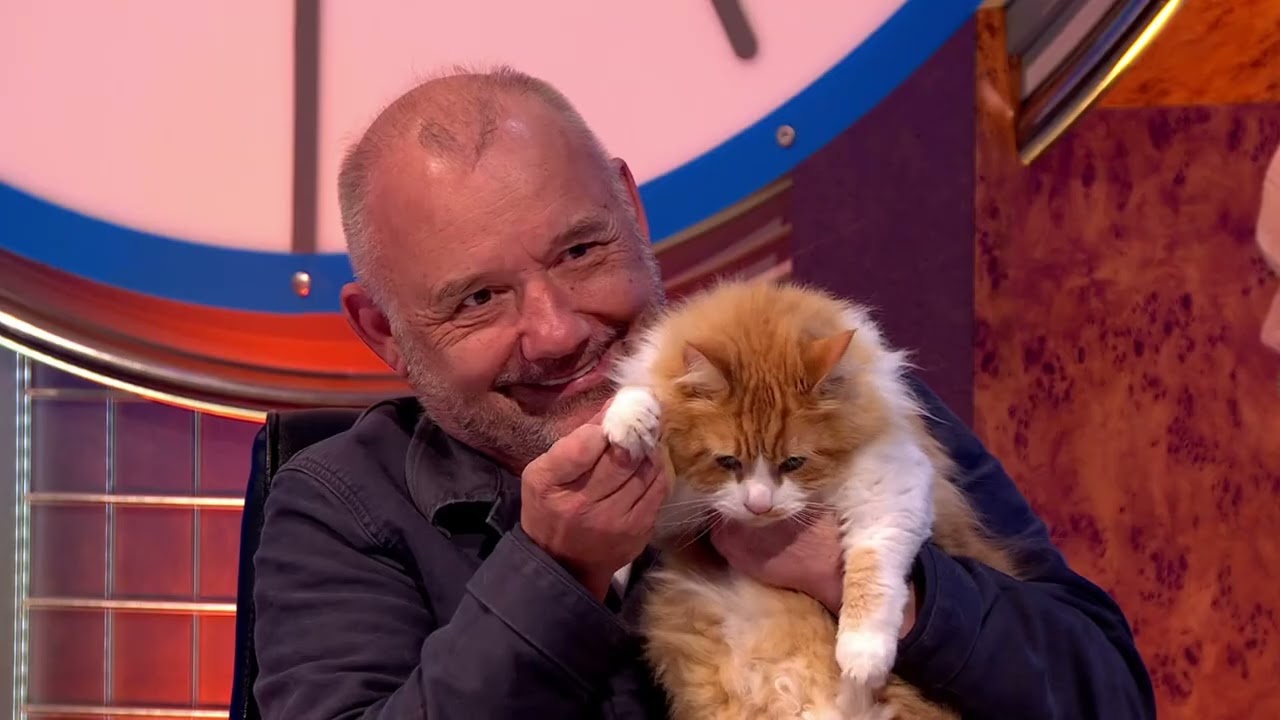 8 Out of 10 Cats Does Countdown S28E1 | Bob Mortimer, Tom Allen, Richard Ayoade