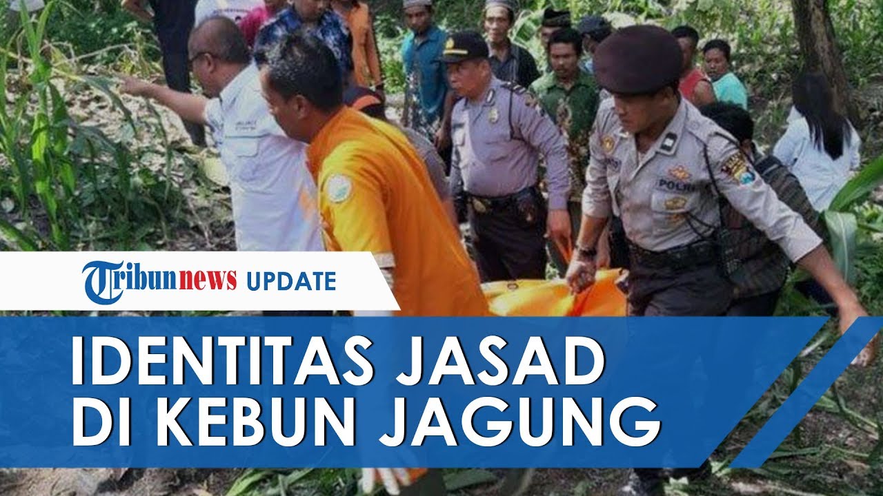Identitas Mayat Wanita Tanpa Busana di Kebun Jagung di Ngawi Terungkap, Ternyata Pemandu Lagu ...