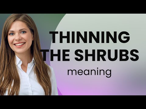 Unraveling Gardening Terms: "Thinning the Shrubs" Explained