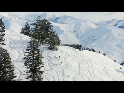Experience the Mountain Collective