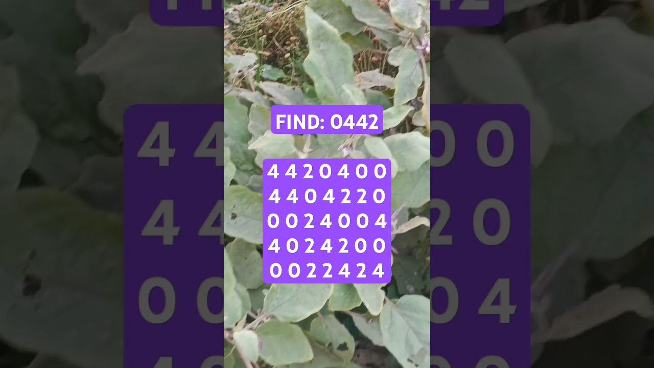 Observation Visual Test: 5 Seconds ForYou To Spot 0442. Try Your Skills! #search #puzzle #shorts