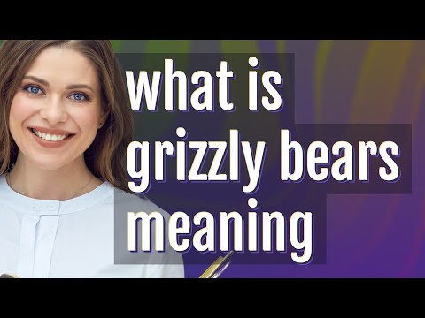 Grizzly bears | meaning of Grizzly bears