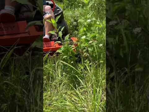 Who needs a bush hog when you have a BadBoy!