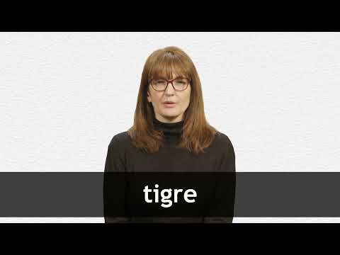 English Translation of “TIGRE” | Collins Spanish-English Dictionary