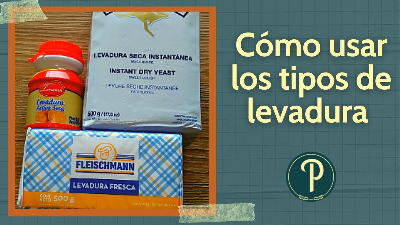 Tipos de levadura, CÓMO usarlas y conversiones // PanPillón - Taller de Panadería