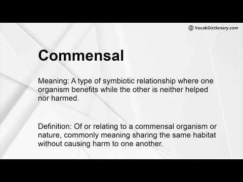 Commensal Meaning