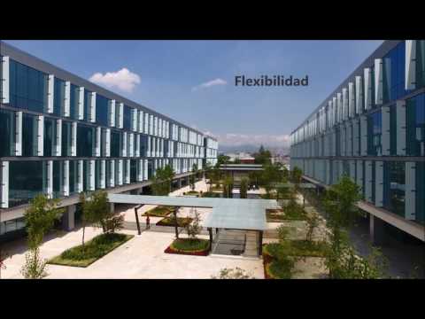 Un nuevo horizonte
