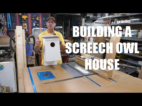 Building An Owl House Step By Step