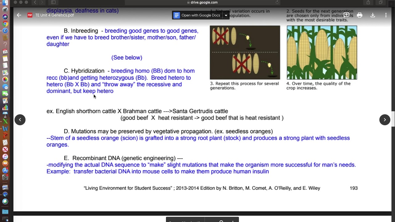 Selective Breeding Lecture Notes