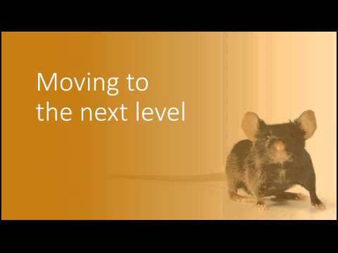 Advancements in Modern Startle Response Systems