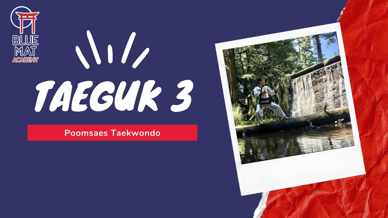 Guía Cinta Negra Taekwondo