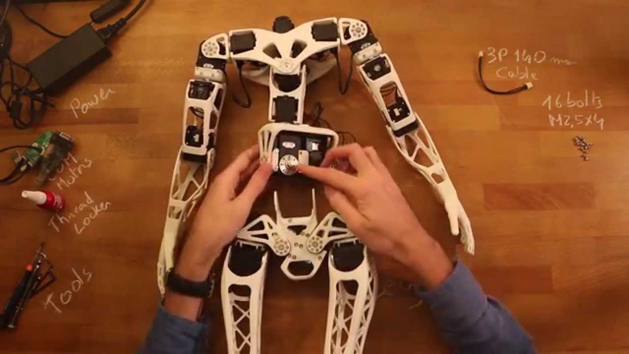 Poppy Humanoid torso/legs assembly