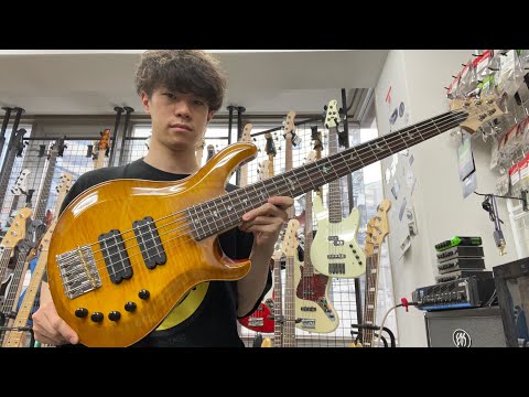 【new】PRS / Grainger 5 strings bass MS #0335201 | Reverb Australia