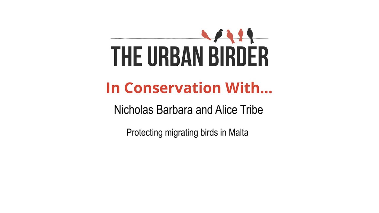 In Conservation With… Nicholas Barbara and Alice Tribe