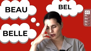 [FREE] What is the difference between "beau," "beaux," "bel," and "belle"? - brainly.com