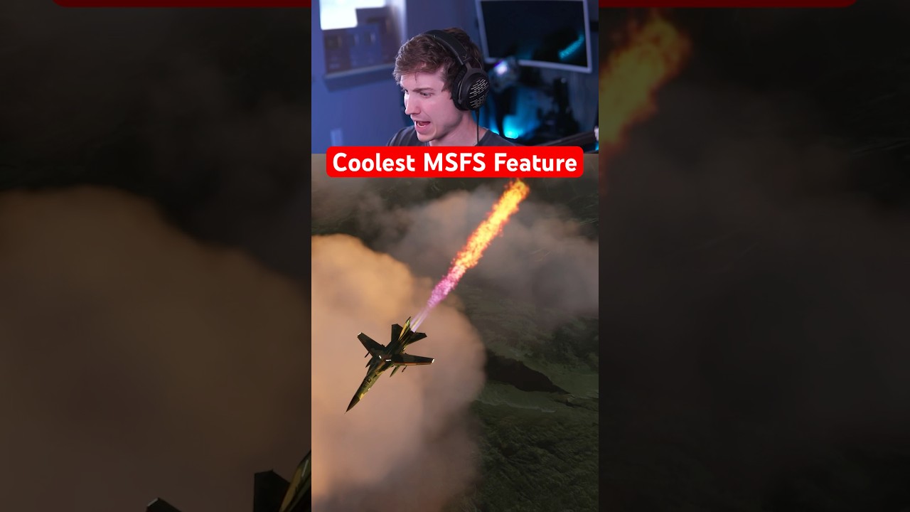 The Coolest Thing in Microsoft Flight Sim