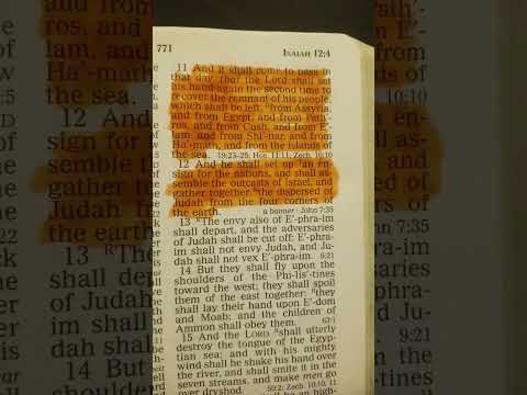 Isaiah 11:11 that the lord shall set his hand again a second time to recover the remnant of his peop