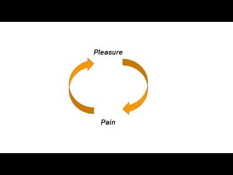 Hedonism, Cynicism, and Stoicism