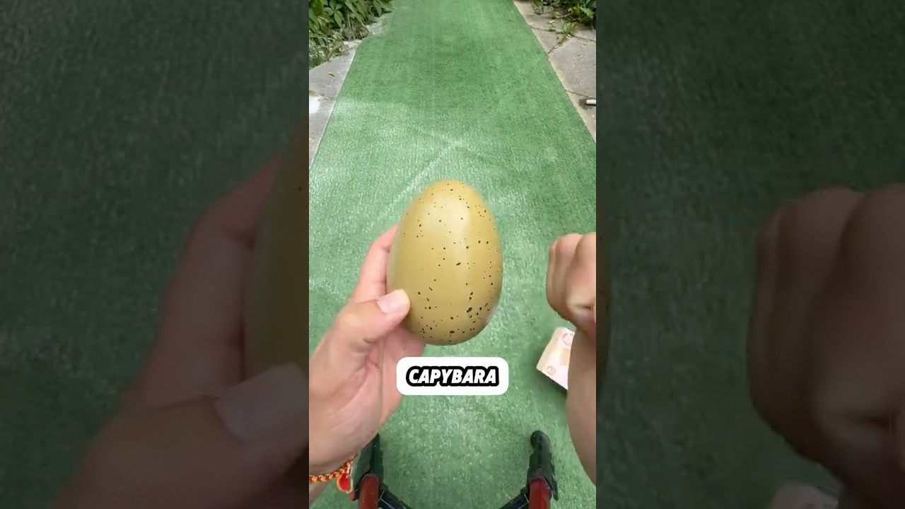 Capybara growing in water. #shorts #egg