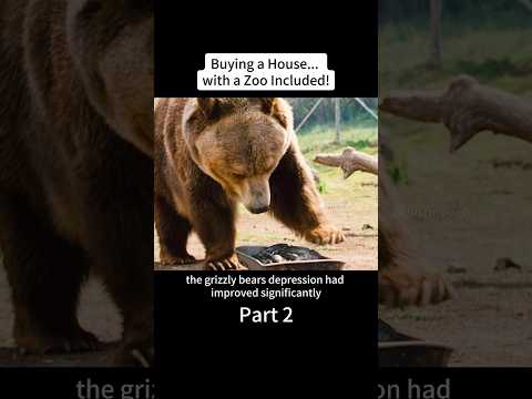 We bought a zoo