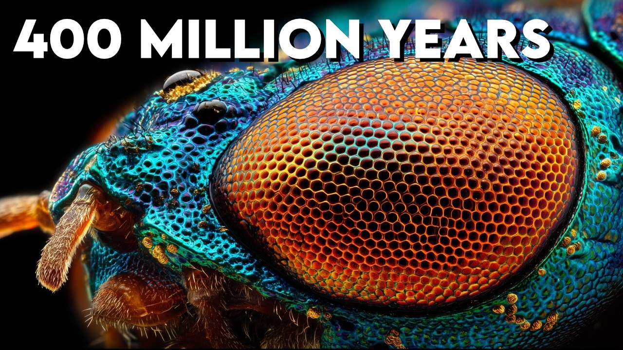 Why Insects Won Evolution While Everything Else Lost