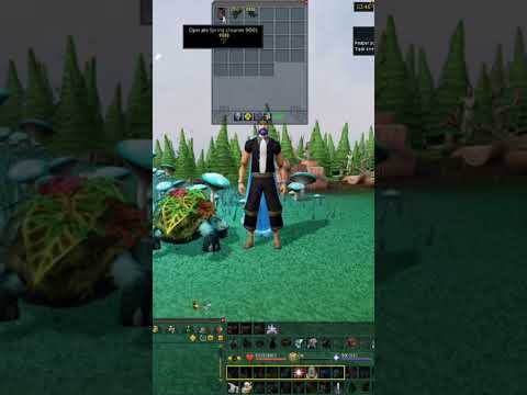 What is the SpringCleaner used for? : RuneScape Tips and Tricks 101
