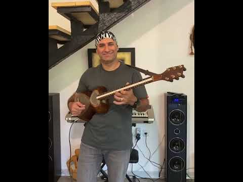 Professional Electric Tar String Musical Instrument HET-4 | Reverb