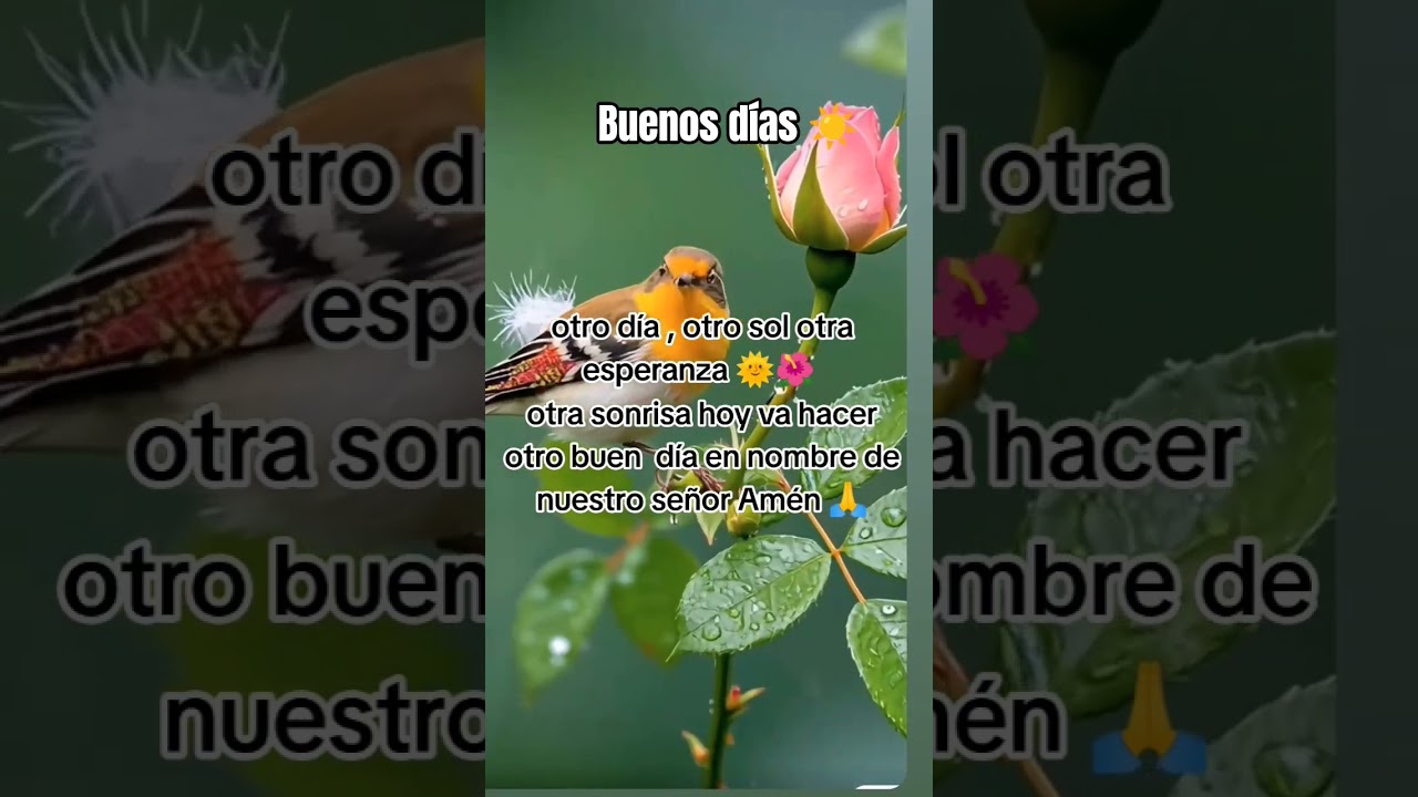 buenos días #bendiciones #reflexionesdeldia #frases #palabradios #los5minutosdelespiritusanto